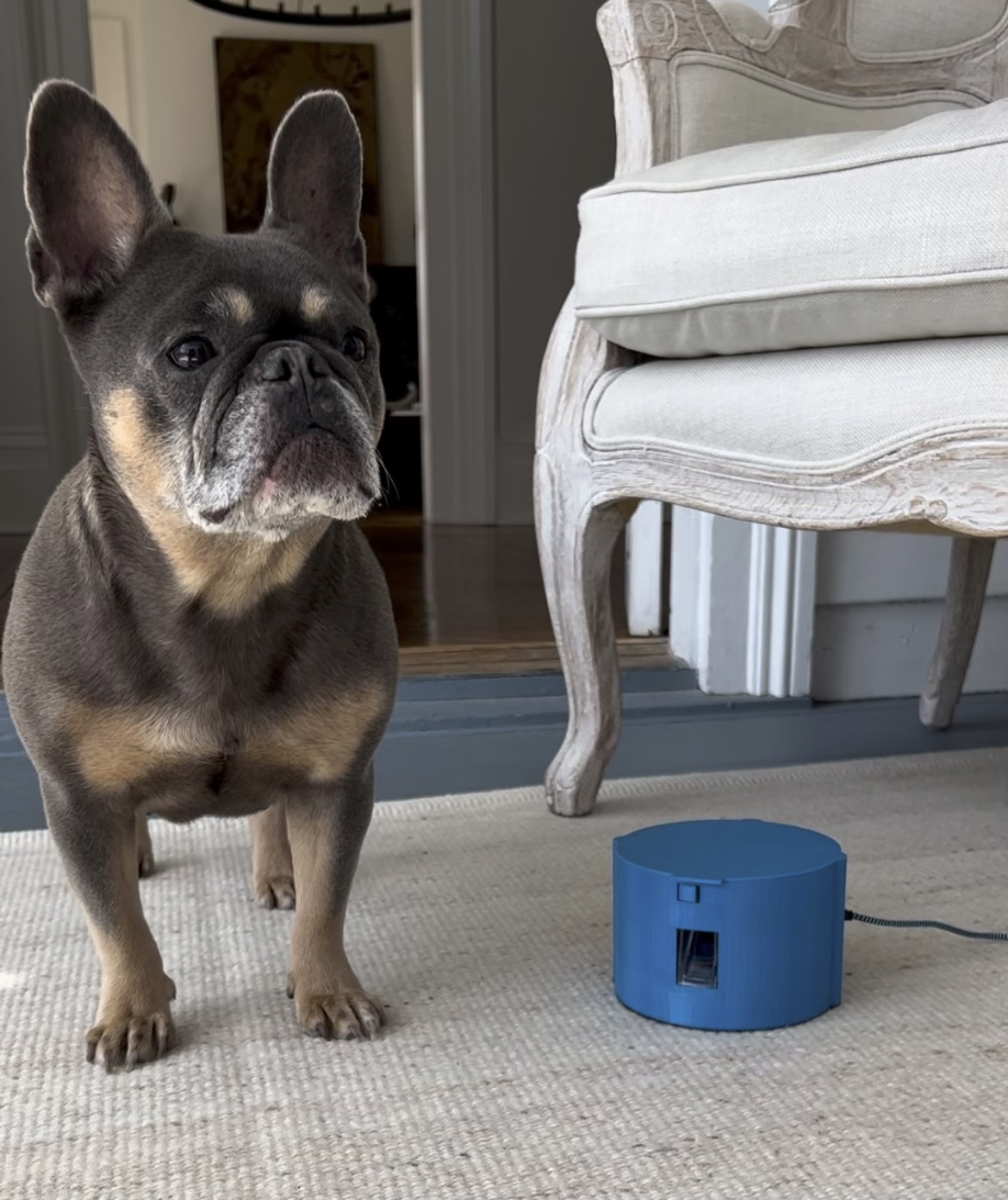 Treat Bot